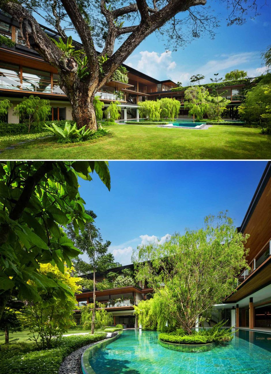 A Rain Tree Became The Centerpiece Of This Home's Design