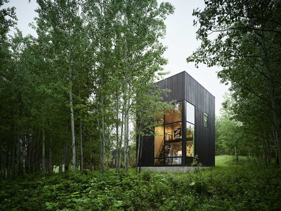 A Charred Wood Exterior Was Given To This Modern Home In The Forest