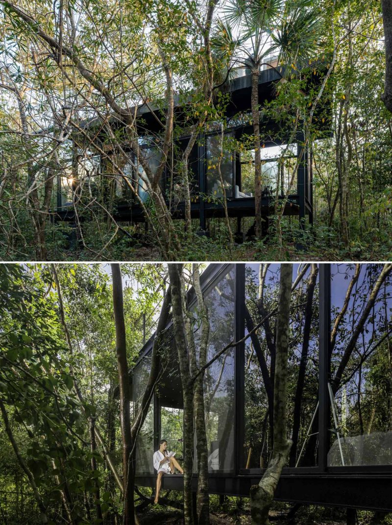 A Collection Of Off-Grid Cabins Hidden Deep In The Jungle