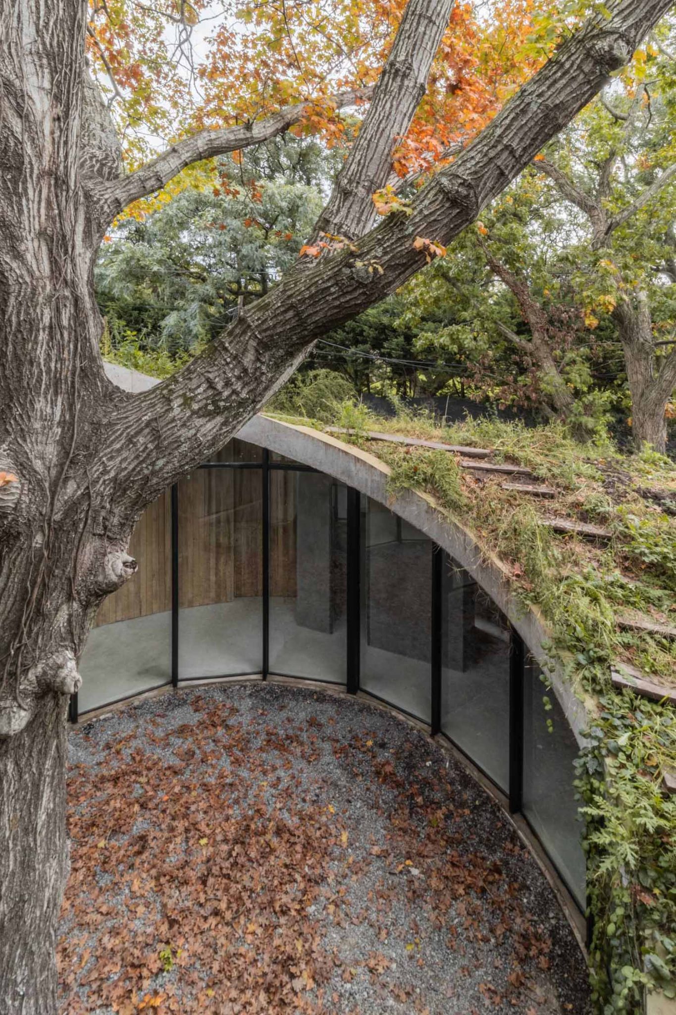 This House Was Built Around A 100-Year-Old Oak Tree