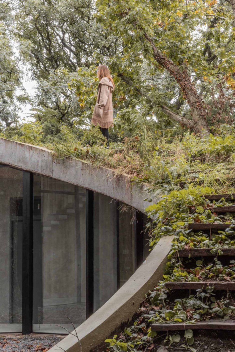 This House Was Built Around A 100-Year-Old Oak Tree