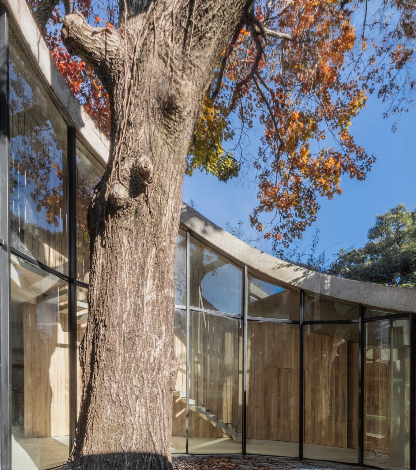 This House Was Built Around A 100-Year-Old Oak Tree