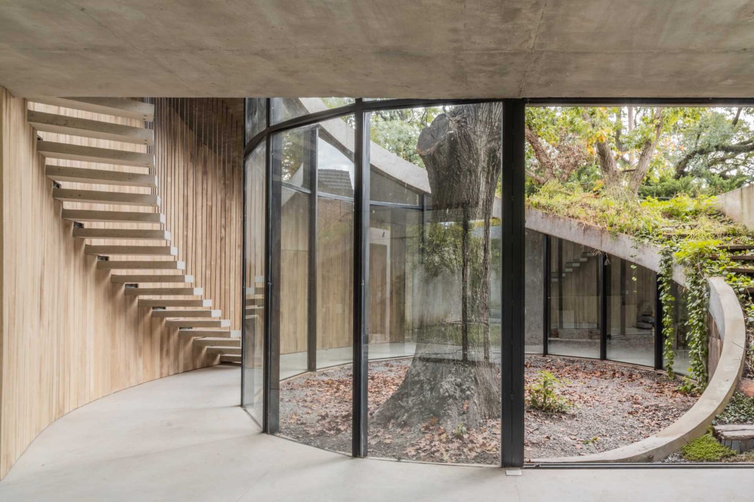 This House Was Built Around A 100-Year-Old Oak Tree
