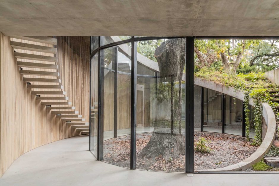 This House Was Built Around A 100-Year-Old Oak Tree