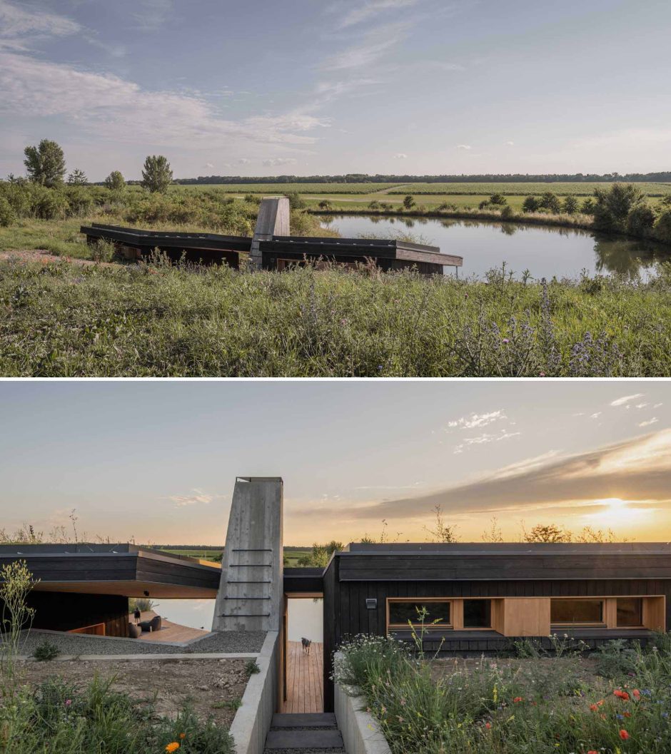 This Small Home With A Green Roof Curves Around A Pond