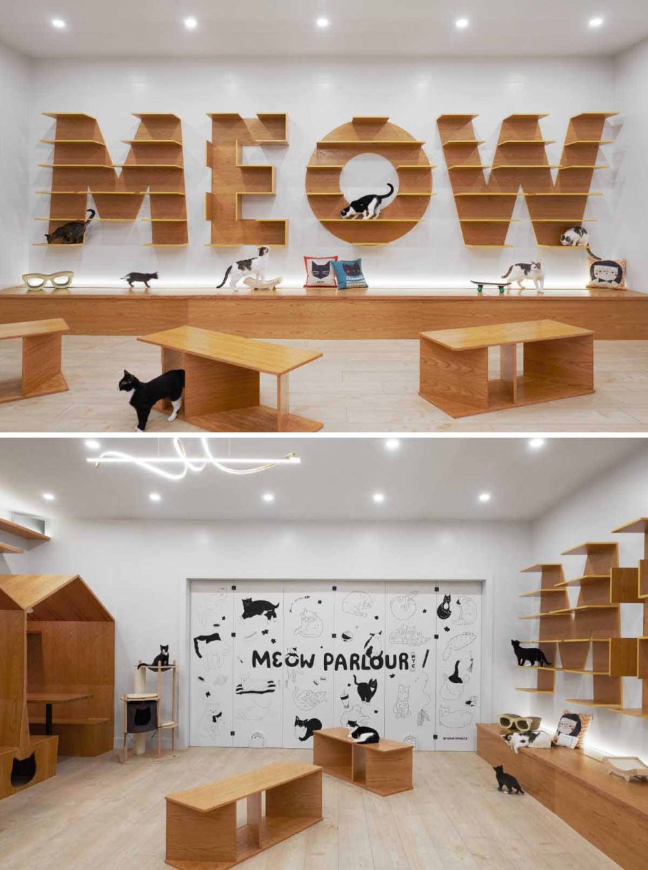 This Cat Cafe In New York Was Designed With Whimsy And Playfulness