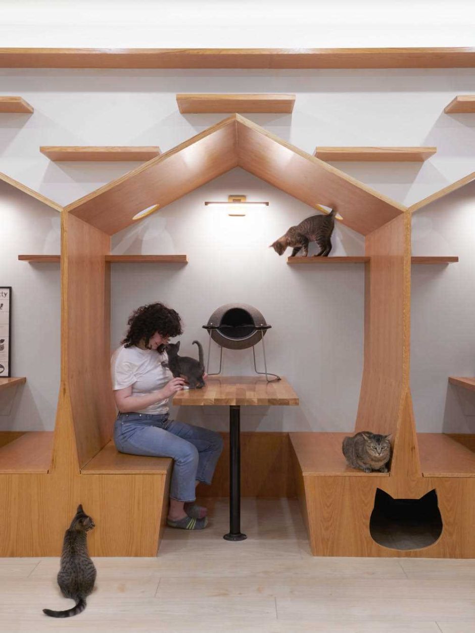 This Cat Cafe In New York Was Designed With Whimsy And Playfulness
