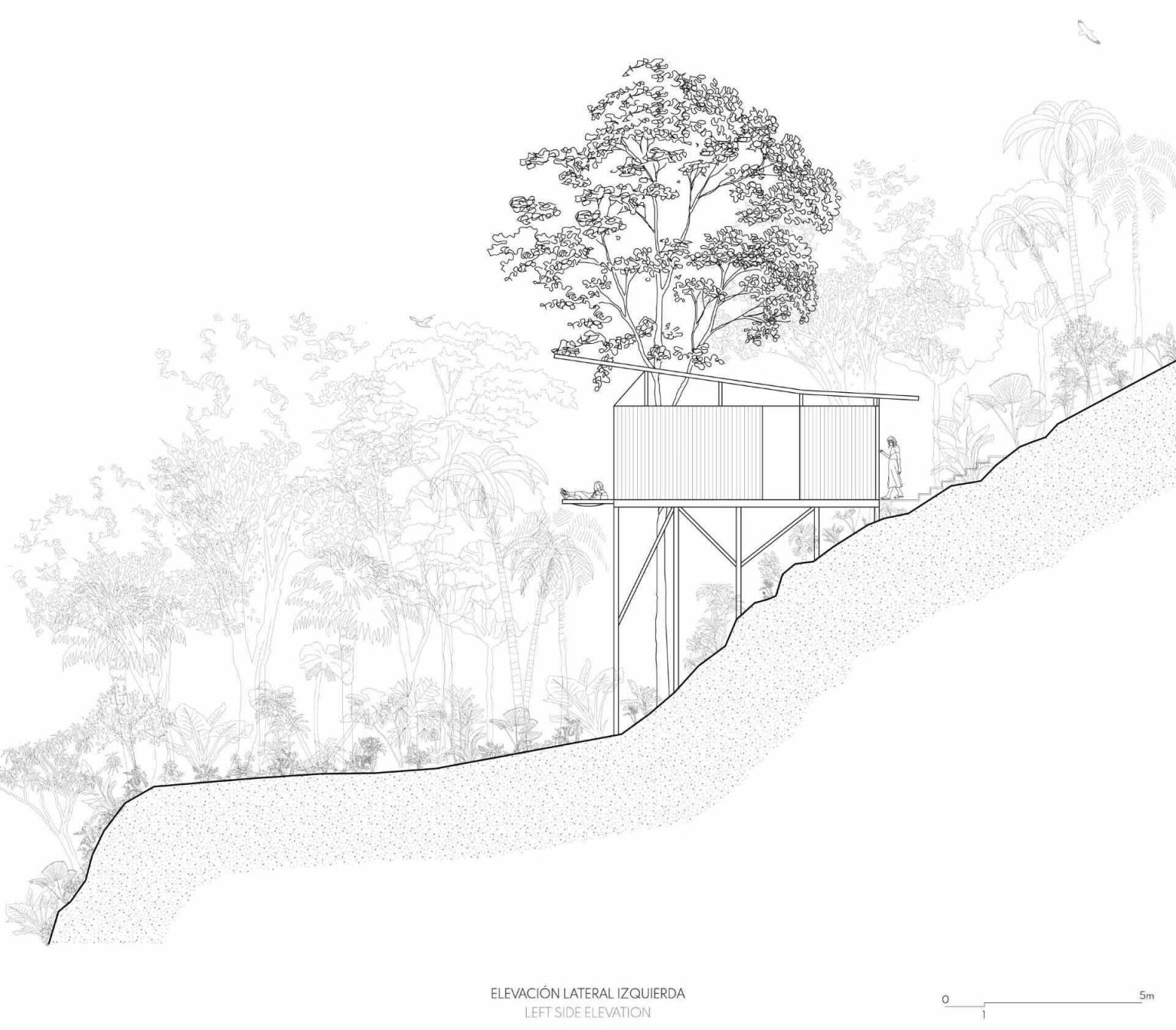 An Elevated Room Surrounded By Trees In The Jungle