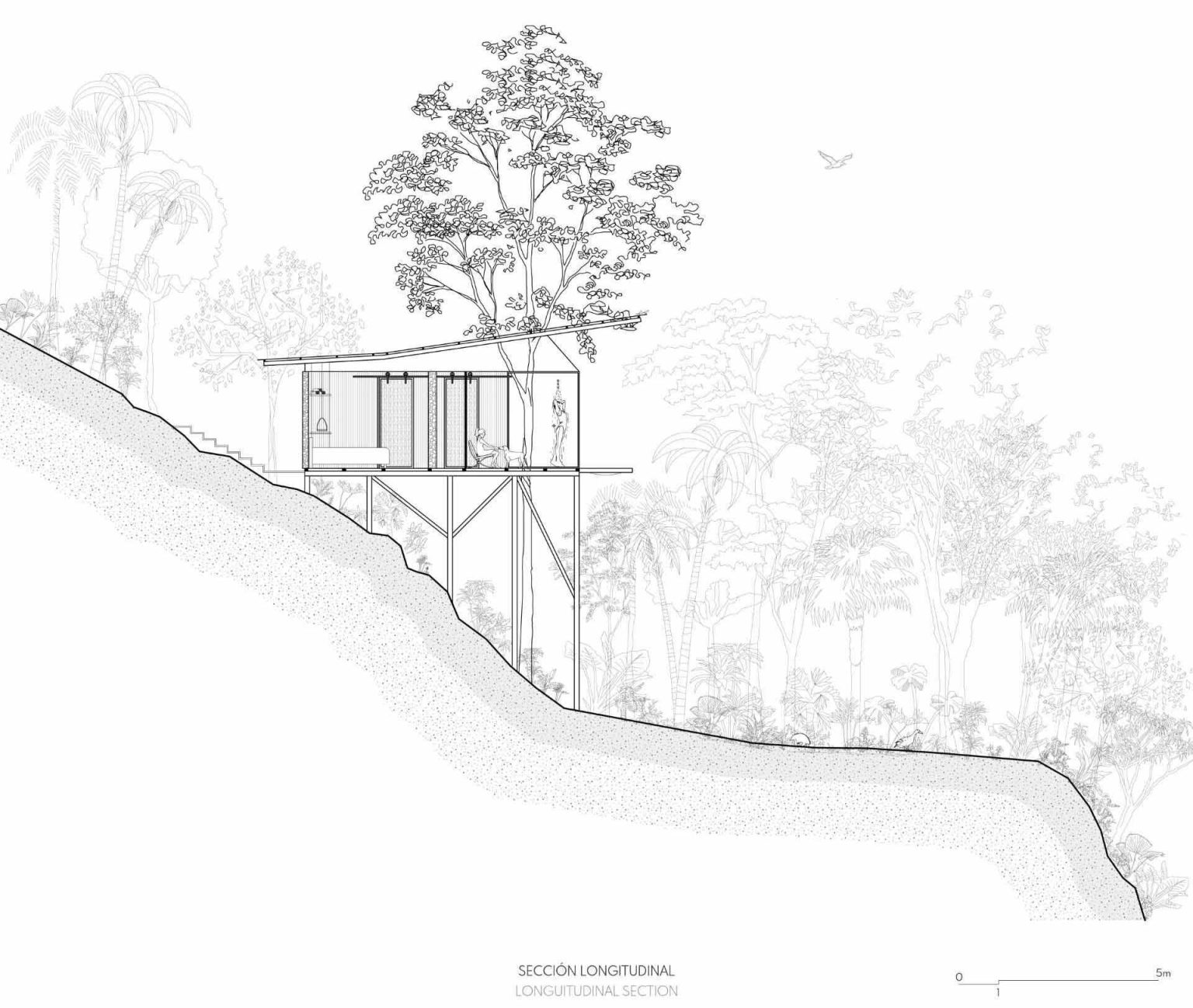 An Elevated Room Surrounded By Trees In The Jungle
