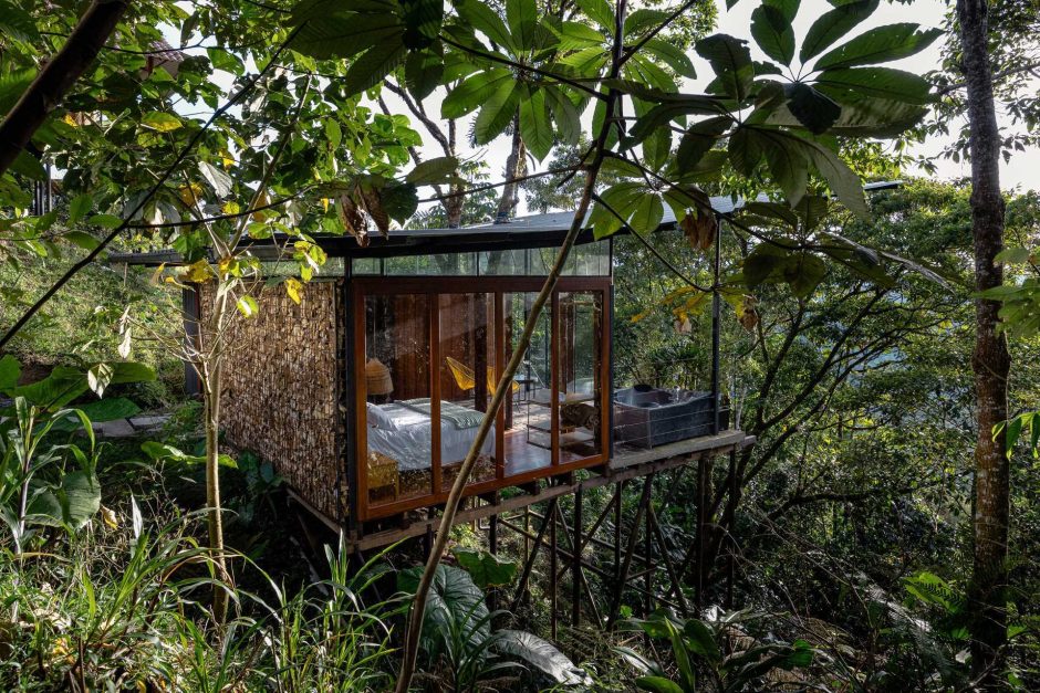 An Elevated Room Surrounded By Trees In The Jungle