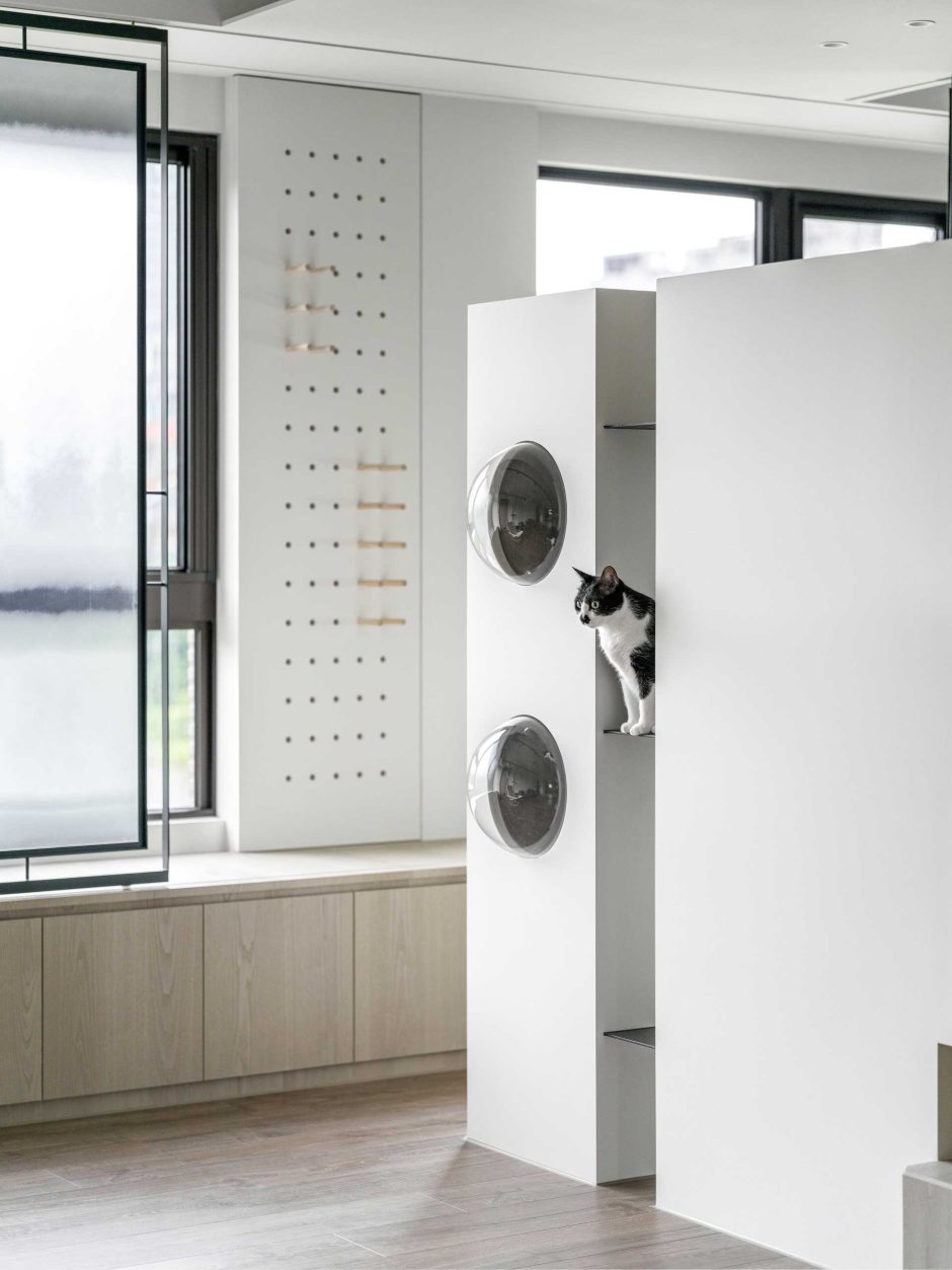 An Apartment Designed With Cats In Mind