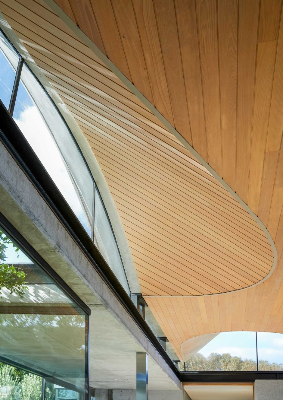 An Undulating Wood Ceiling Inspired By Ocean Waves And Nearby Mountains