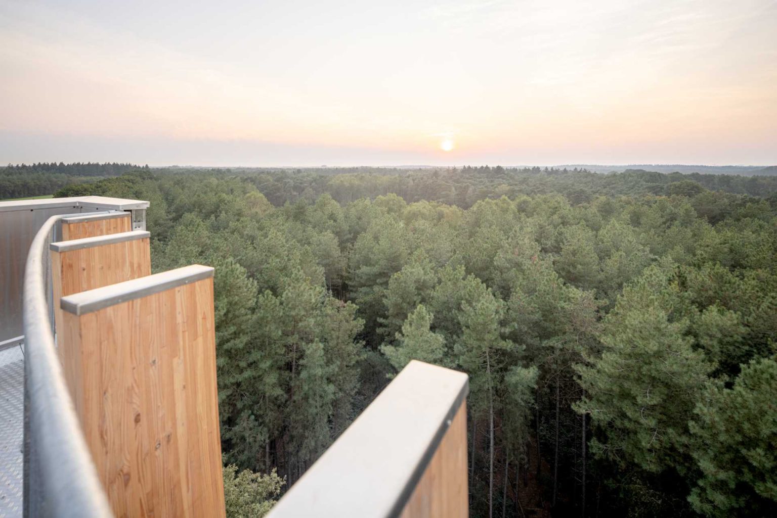This Wood Watchtower Is Also A Home For Bats
