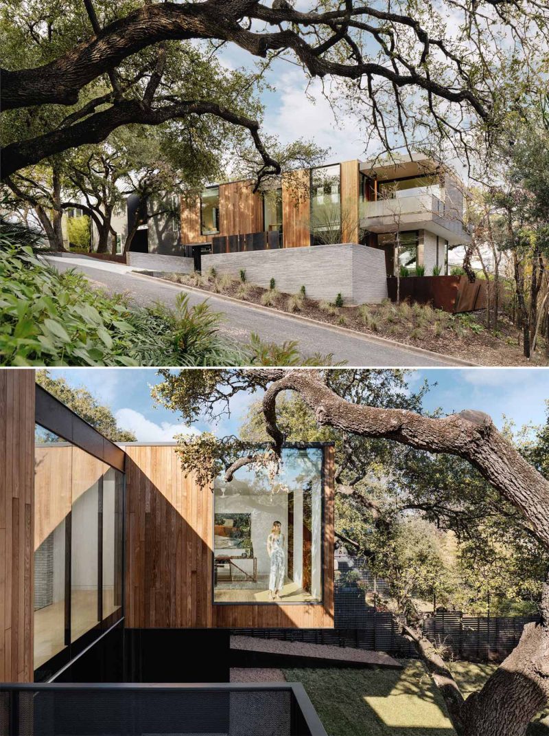 This Modern Home Was Designed Around A Split-Trunk Oak Tree
