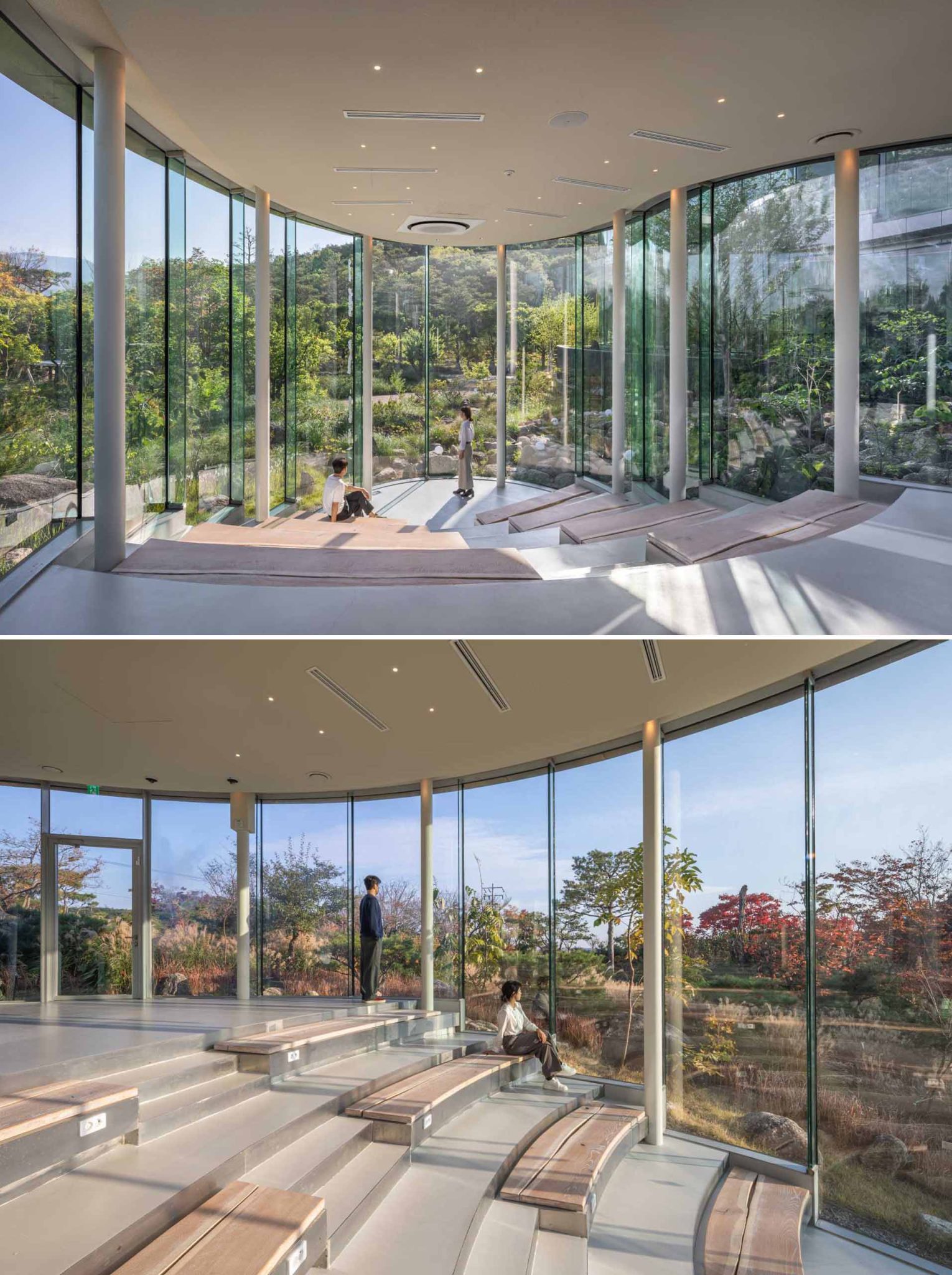 A New Cafe In South Korea That's Inspired By A Walk In Nature