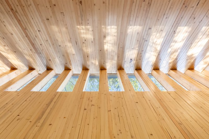 This Hidden Chapel In The Woods Is Captivating Architecture Lovers