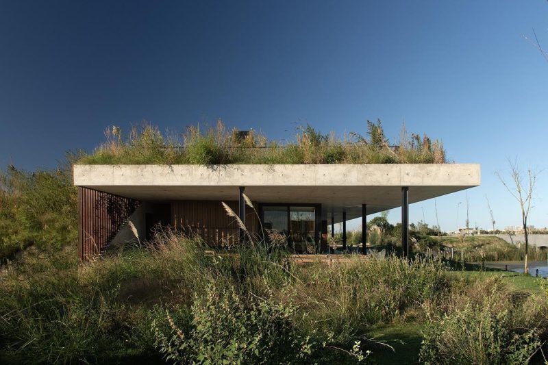 A Clubhouse That Grows from the Landscape