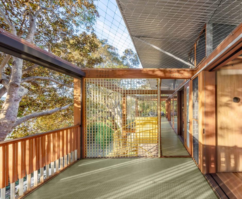 Above the Ground, Among the Leaves: A Modest Prefab Timber Home in the ...