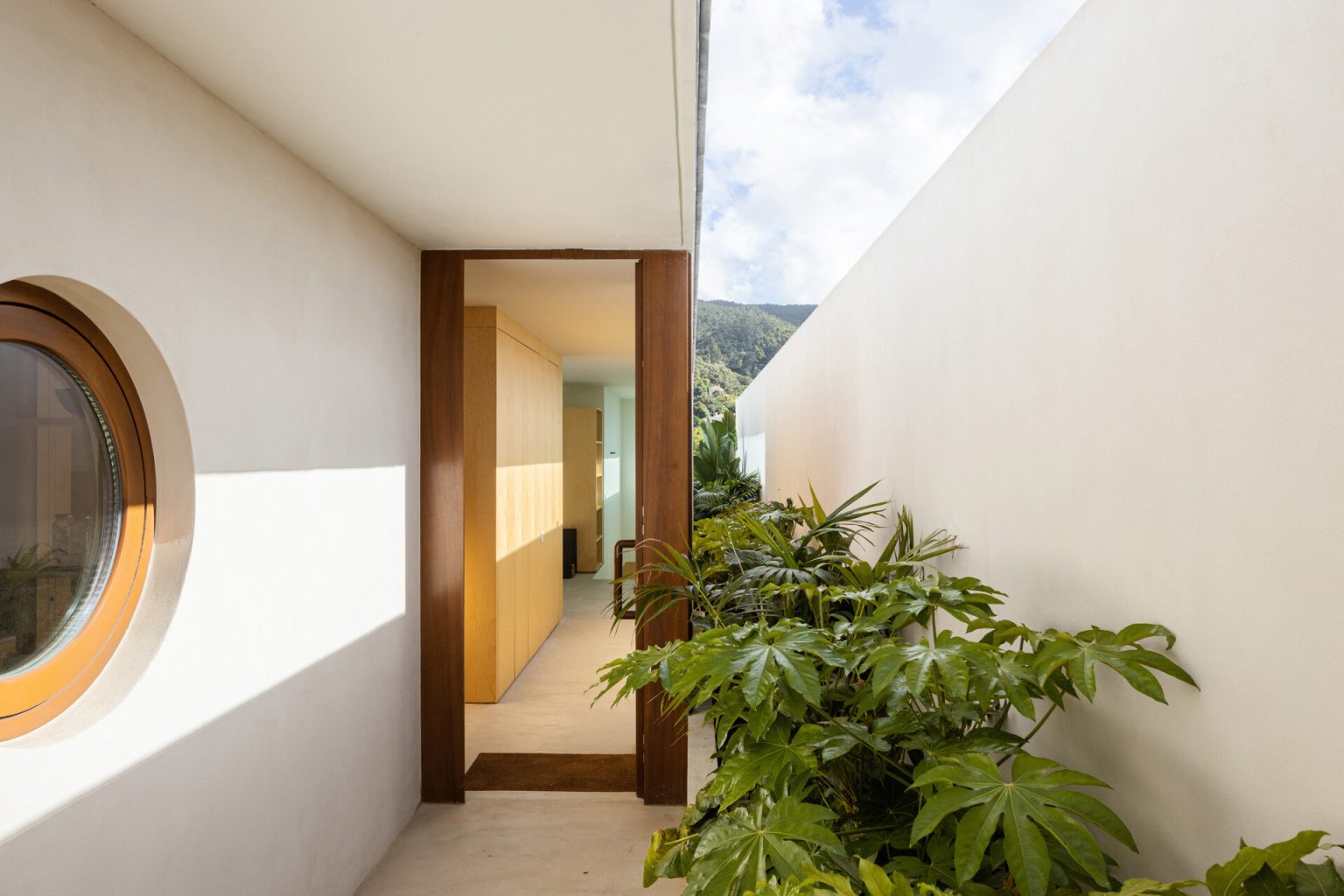 Blending Into Nature: A Half-Buried House With A Green Roof