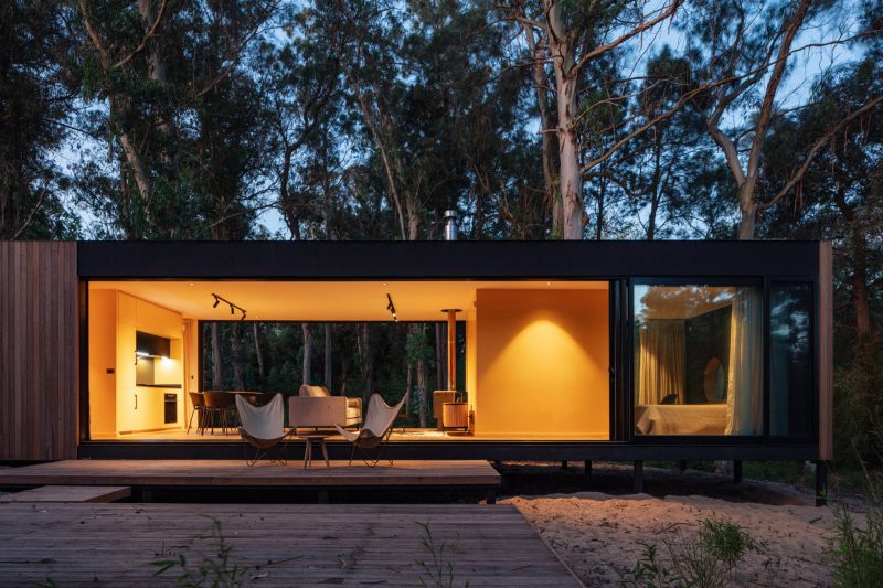 Inside a Small Forest Home that blends Mid-Century Style with Nature