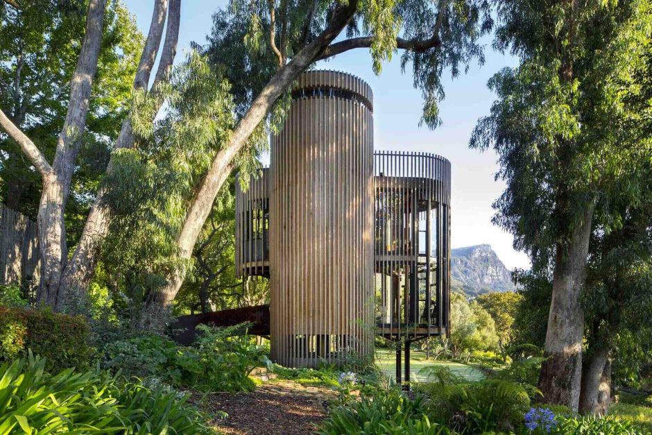 Inside a Forest Cabin Home That Rises Among the Trees