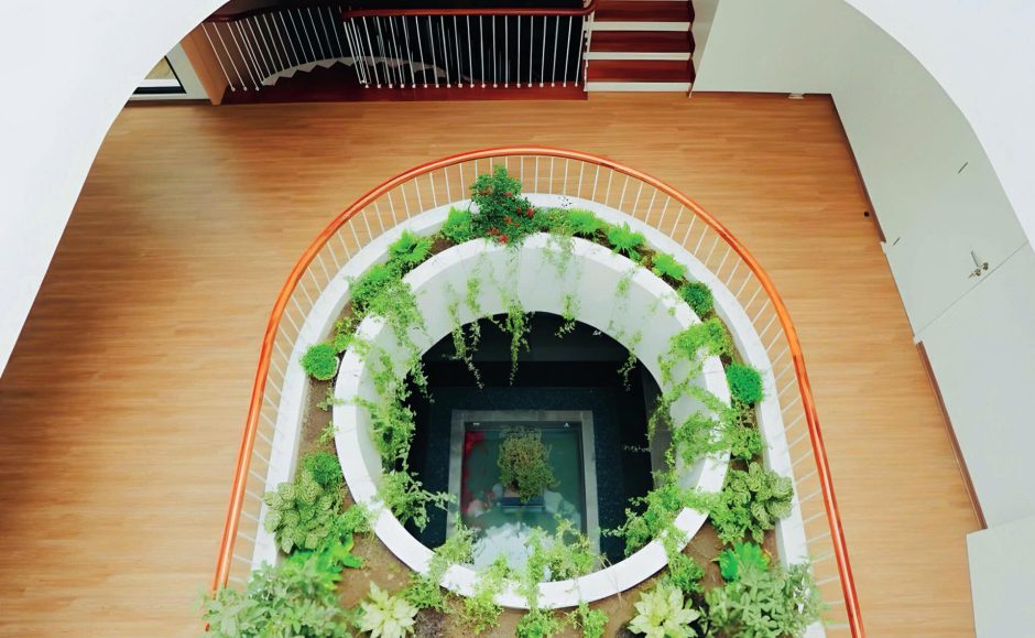 The Koi Pond and Hanging Garden That Becomes the Heart of Daily Living